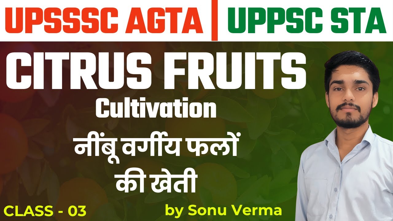Citrus Fruits Cultivation / नींबू वर्गीय फलों की खेती | UPSSSC AGTA ...