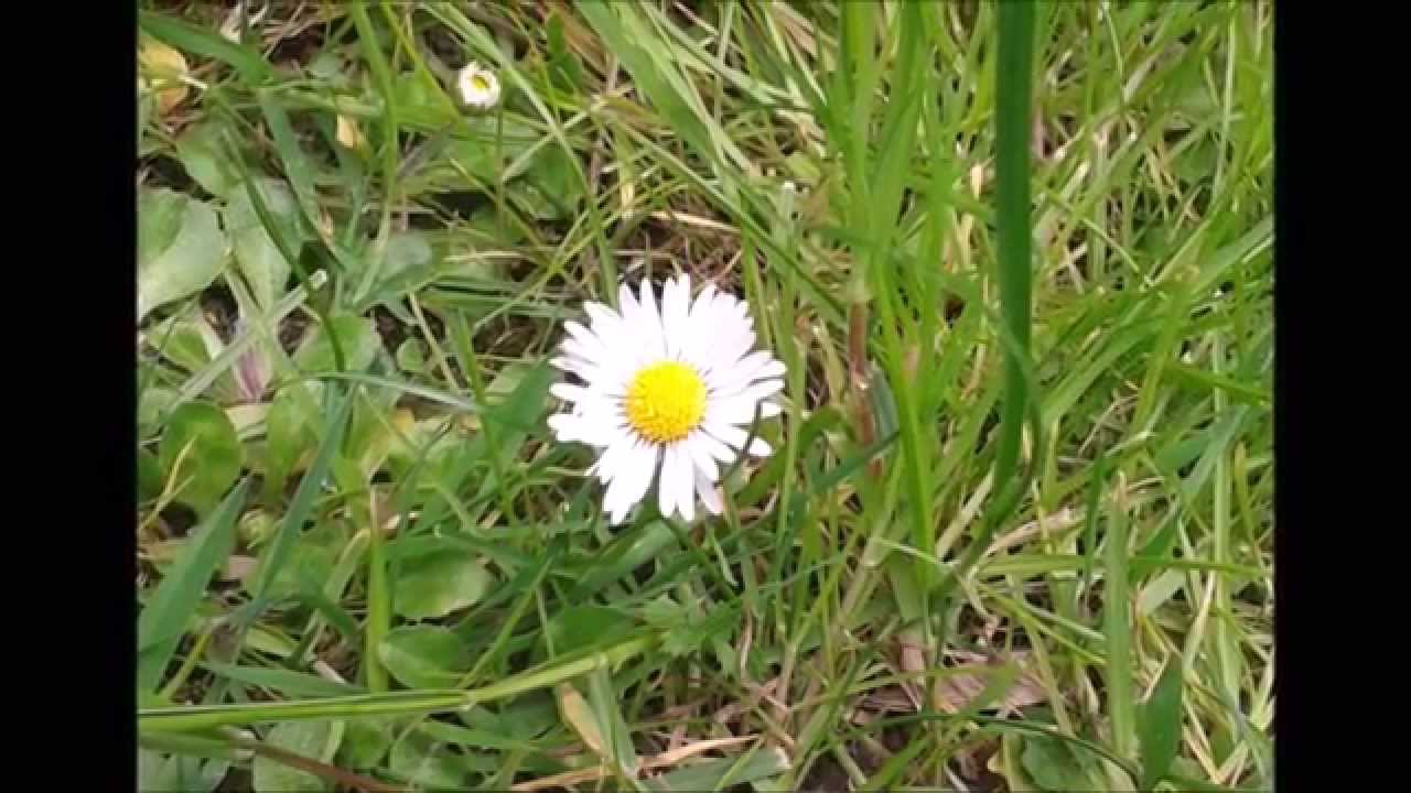 Most beautiful scenic landscape photos of nature slideshow - YouTube