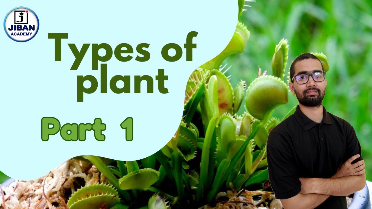 types of plants || plants and its types || plant types. - YouTube