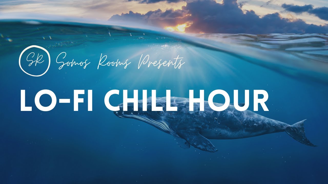 LOFI HIP HOP RADIO - CHILLED WHALE Beats to chill / relax / study ...