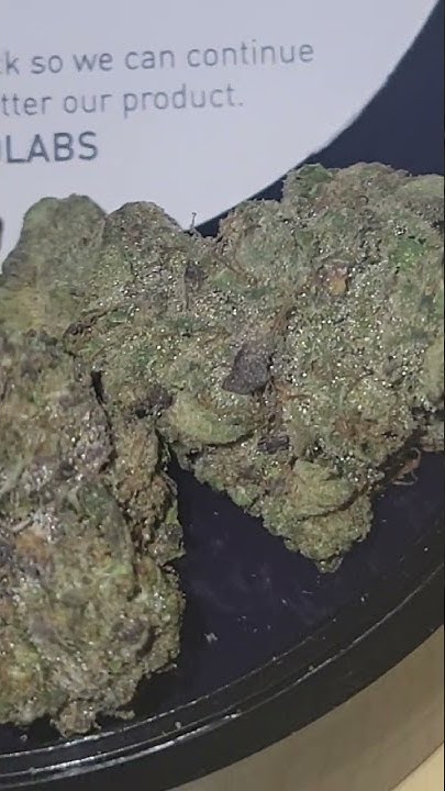 Sunset Cookies (sunset sherbert x GMO cookies) cultivated by 710 labs - YouTube