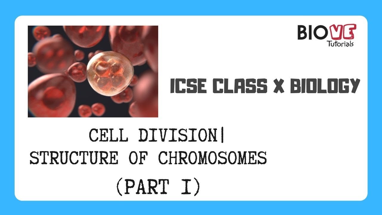 CELL DIVISION | PART-1 | ICSE CLASS 10 BIOLOGY - YouTube