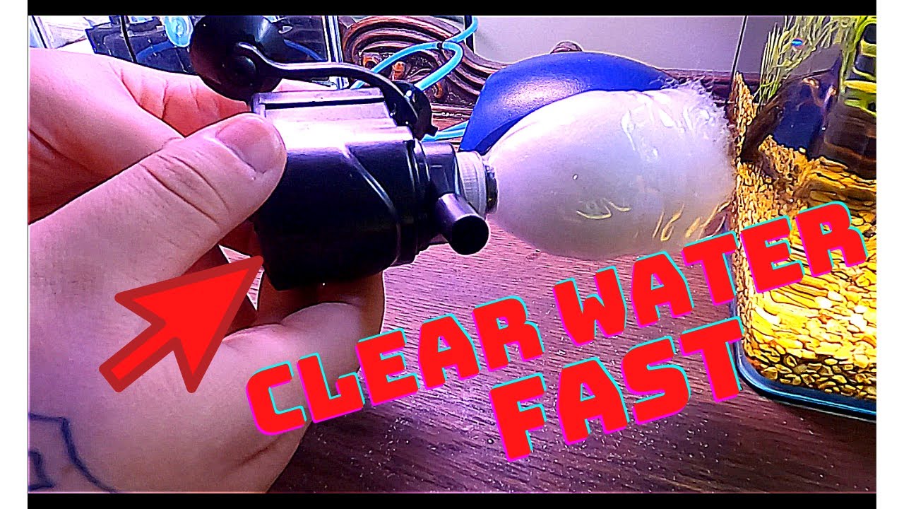 The Fastest Way To Instantly Clear Tank Water - YouTube