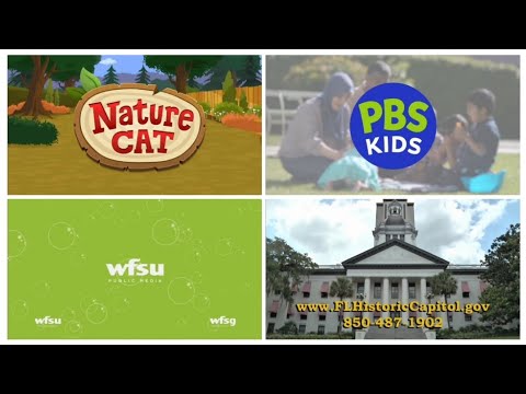 PBS Kids Program Break (2023 WFSU) - YouTube