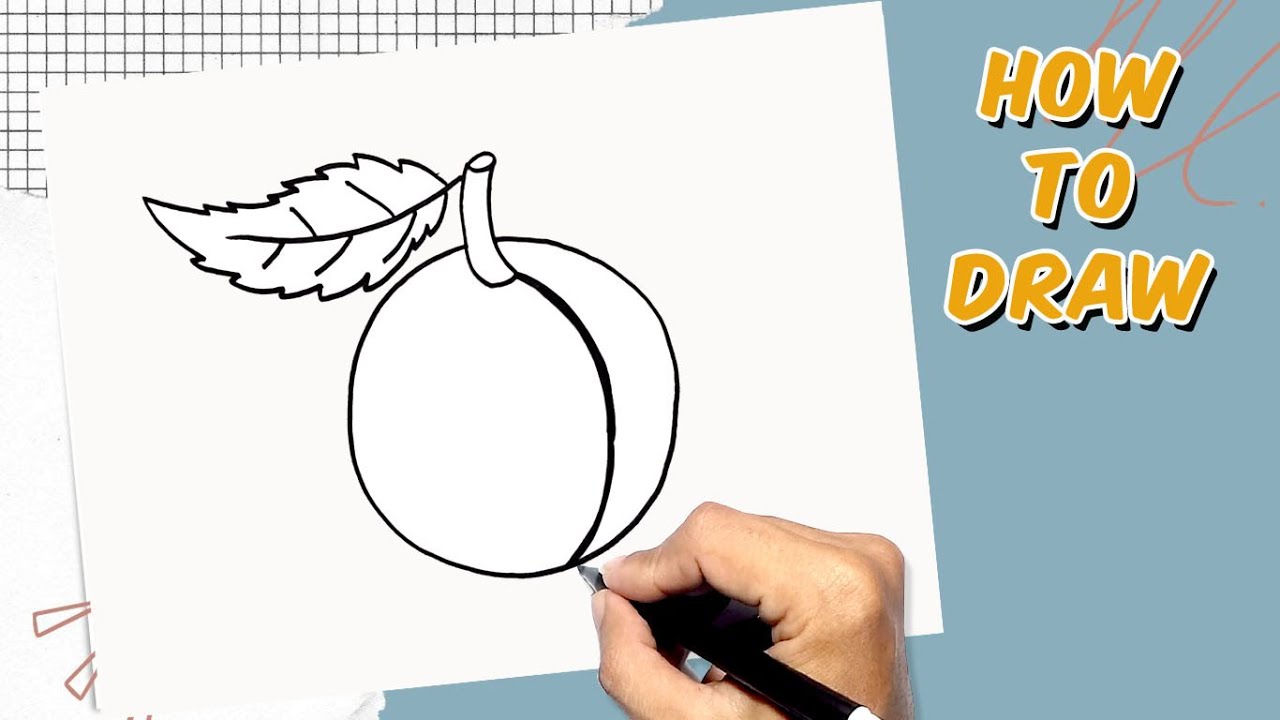 How to Draw Plum - YouTube