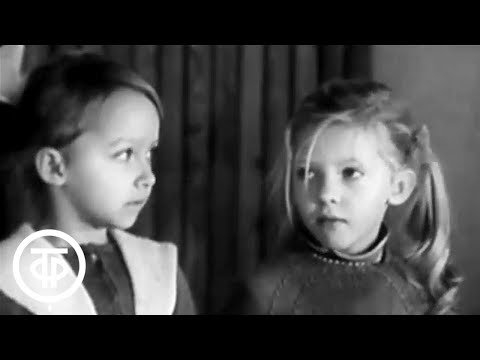 И пусть не чемпионы... О первых шагах в спорте (1974)