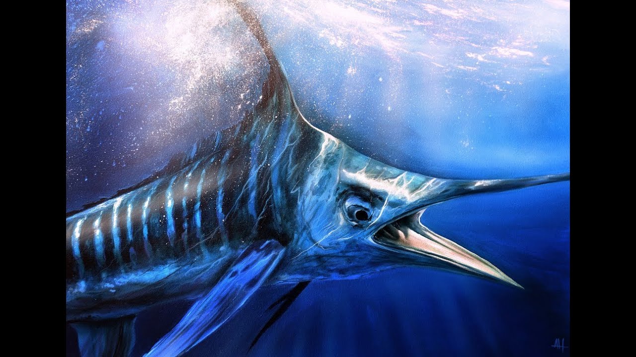 Boat: Predator - Blue Marlin Release Cayman Islands International ...