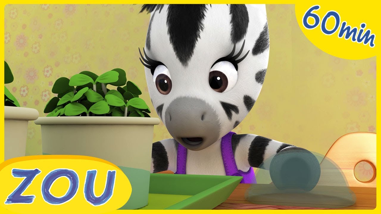 El Jardín de Zou: ¡Plantas, Colores y Sorpresas! 🌱🌸| ZOU en Español 🦓 ...