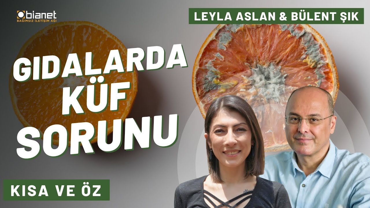 Küf nedir, neden oluşur? | Leyla Aslan & Bülent Şık | Kısa ve Öz - YouTube