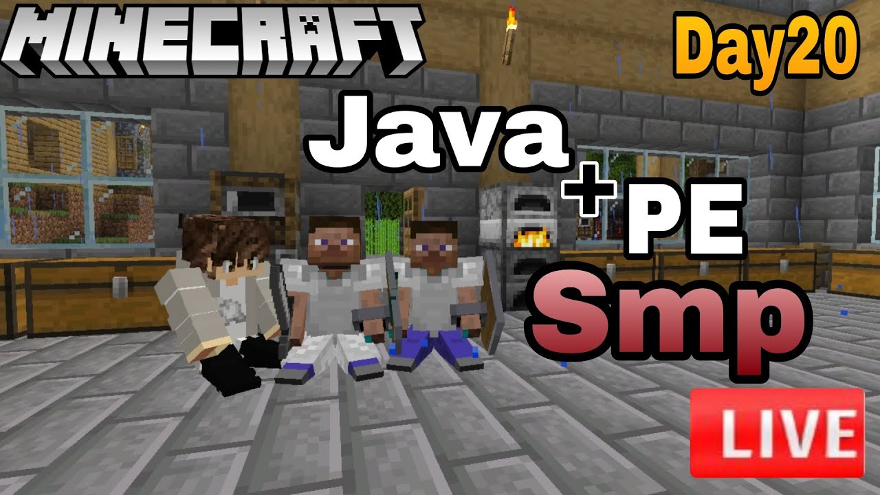 Hindi Minecraft Public SMP Live Anyone Can Join Live - YouTube