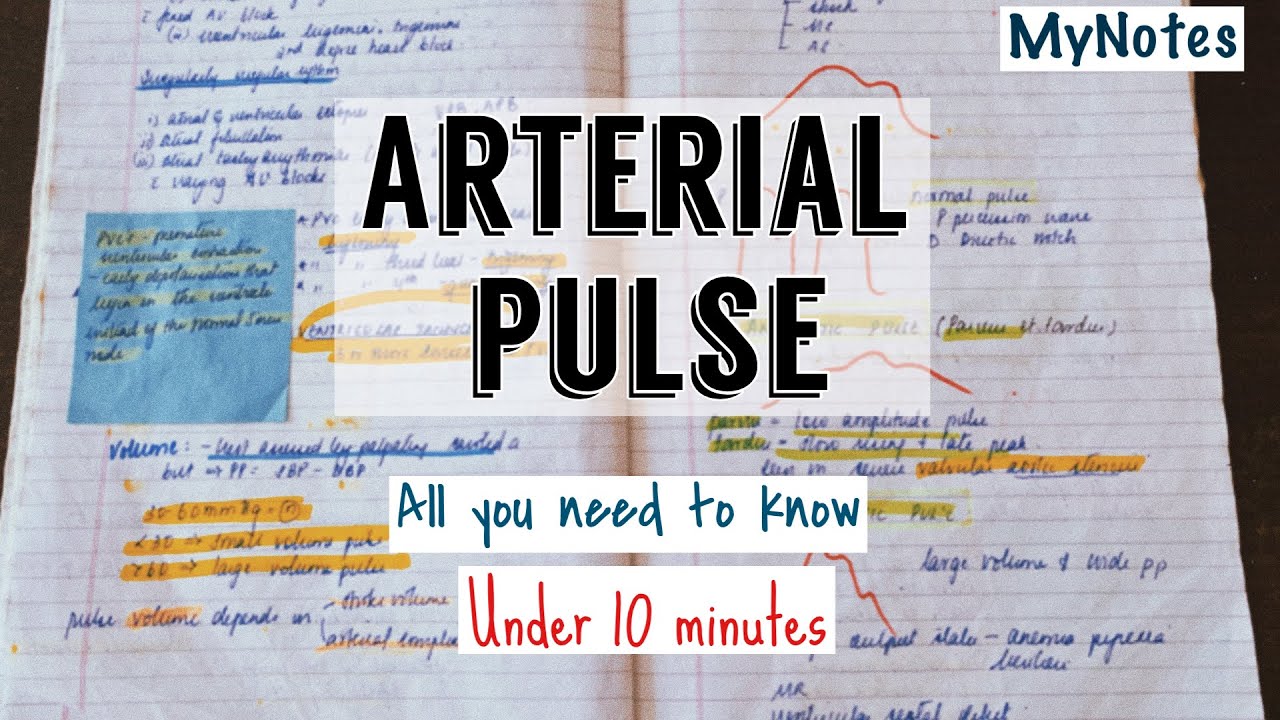 Arterial pulse | ridiculously easy | MyNotes - YouTube