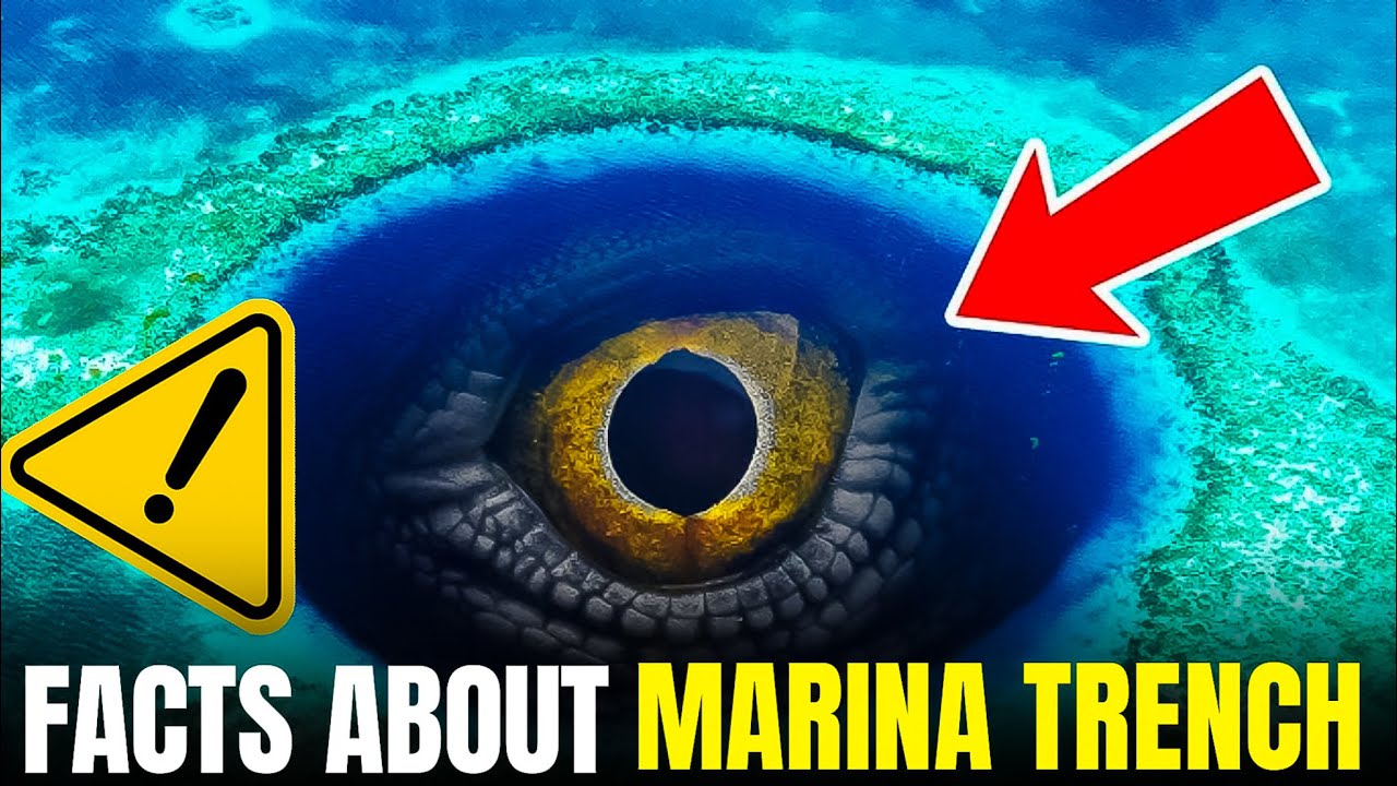 🌊 Diving Deep: Mind-Blowing Facts About the Mariana Trench!🤯 - YouTube
