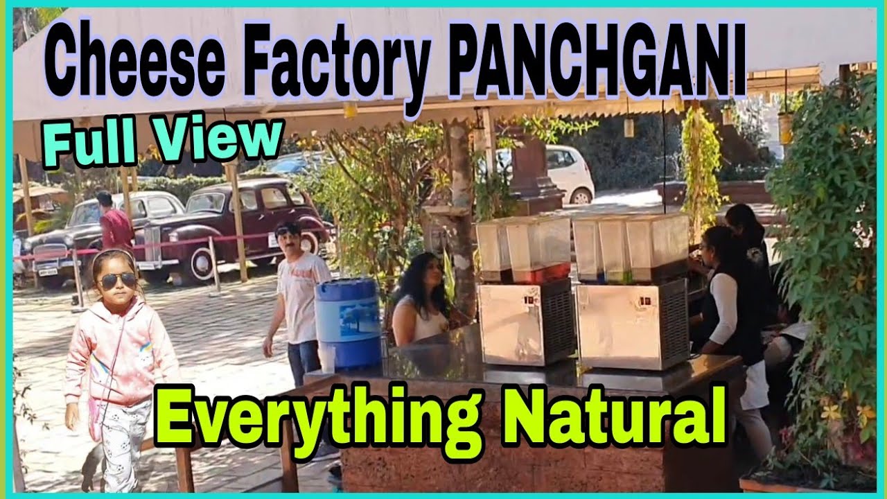 Cheese Factory Pure Gold PANCHGANI, A 2 Z outside Inside View - YouTube
