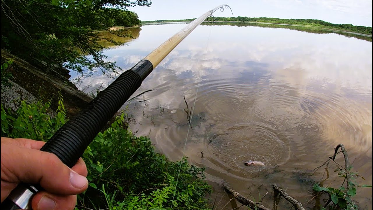 Catching Cats and taking it easy - YouTube