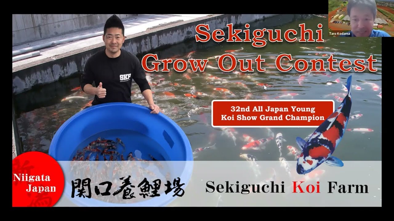 2022 Sekiguchi Grow Out Contest And Seminar: Winner Announced! - YouTube