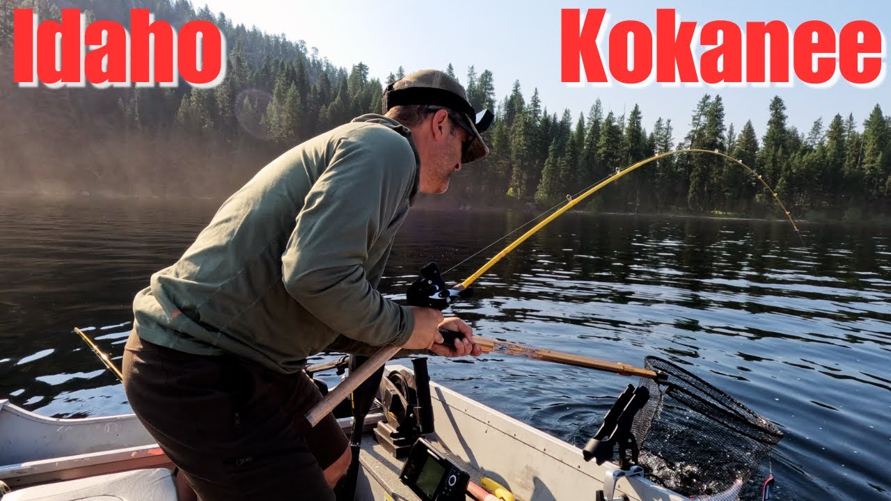 Kokanee Fishing for Beginners (and I'm the beginner!!!) - YouTube
