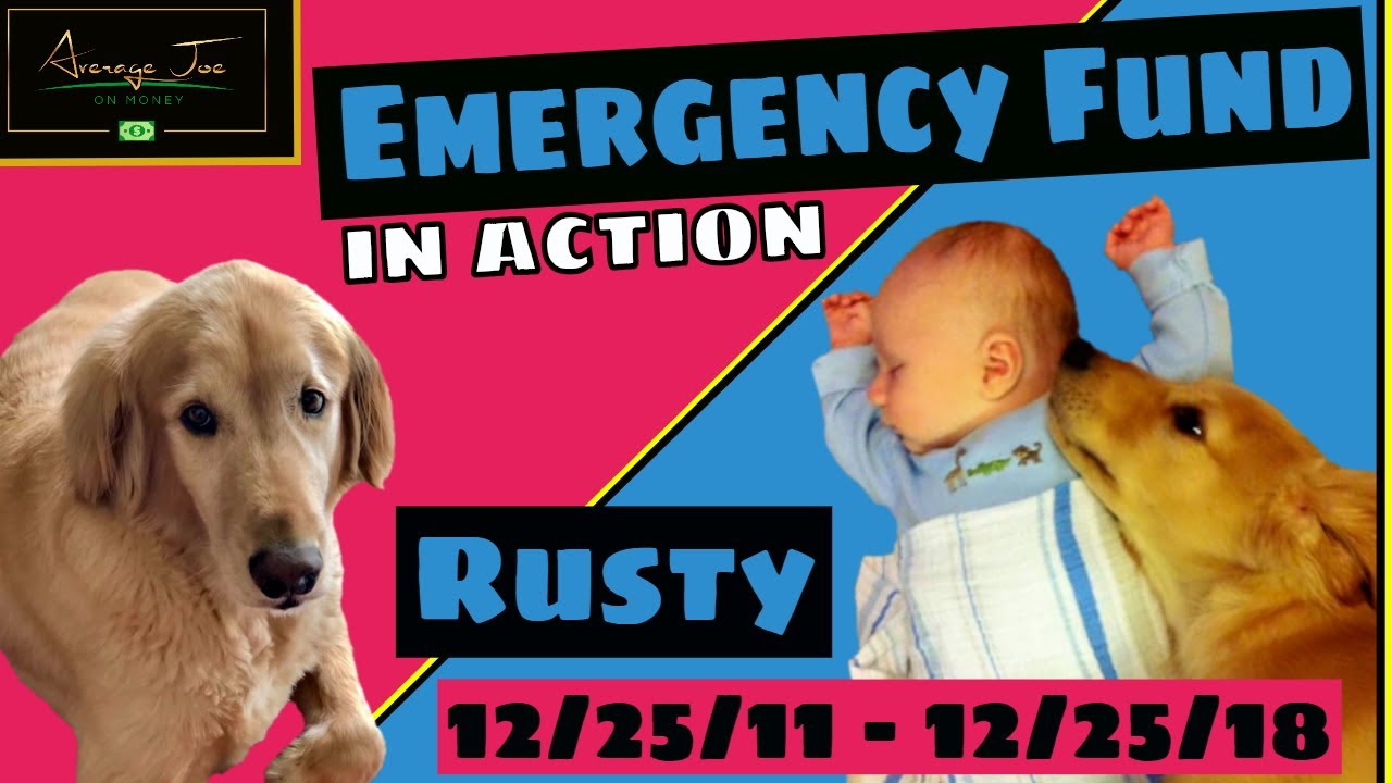 Emergency Fund in Action on Christmas | $3,500 to Try and Save Our Dog ...