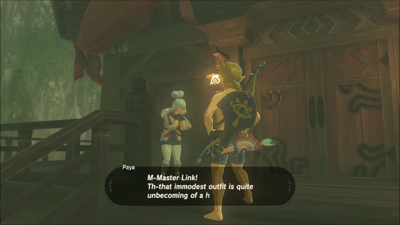 No clothes Link - Details in The Legend of Zelda: Breath of the Wild ...