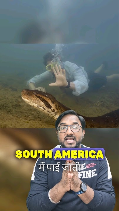 World's longest snake, a new species of Anaconda, discovered. #facts # ...
