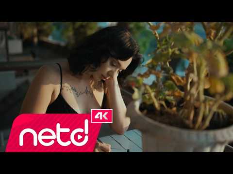 Meltem Leylekoğlu - Sardunyalar