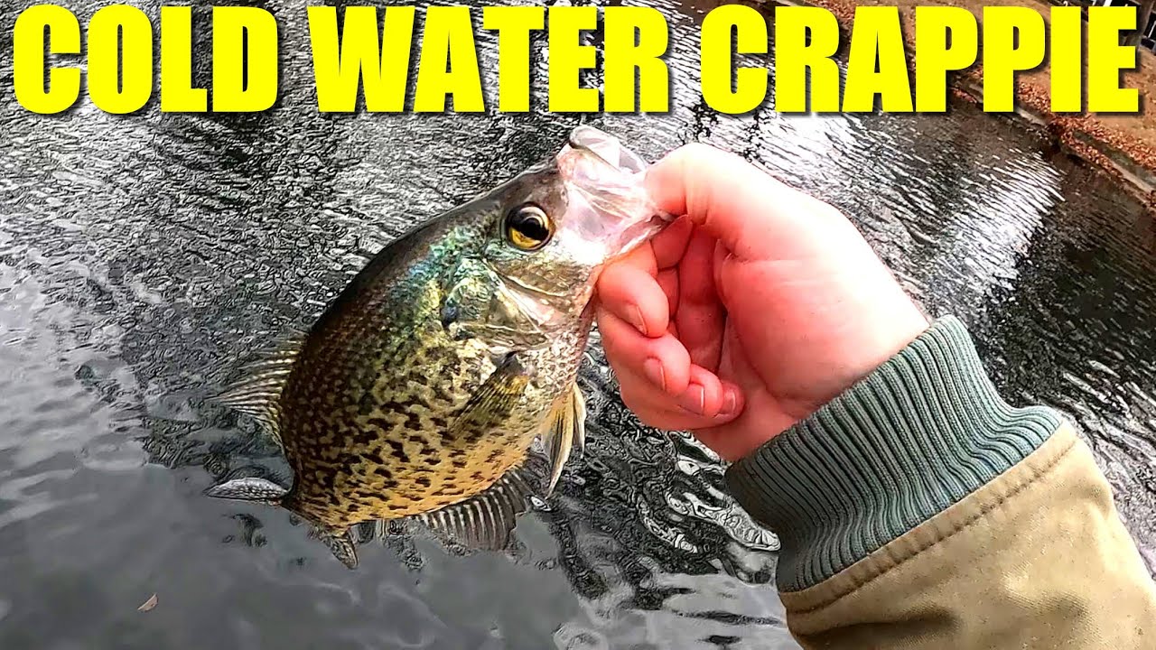 Cold Water Park Pond Panfish Fishing in NJ - YouTube