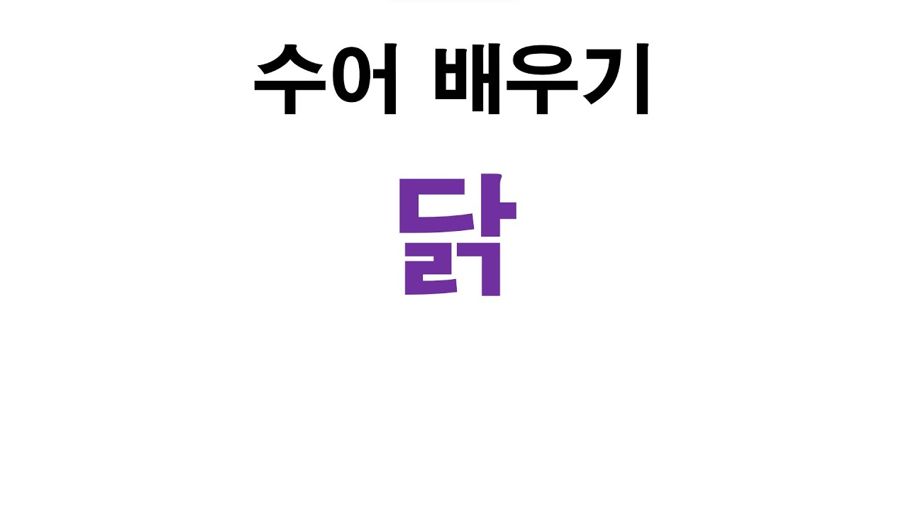 수화배우기 기초 닭 거울모드 수어사전 농인 수어 한국수어 수어학원 수어통역 수어교육 수화책 수화통역 수화교육 수어번역 수어공부 수어강의 수어