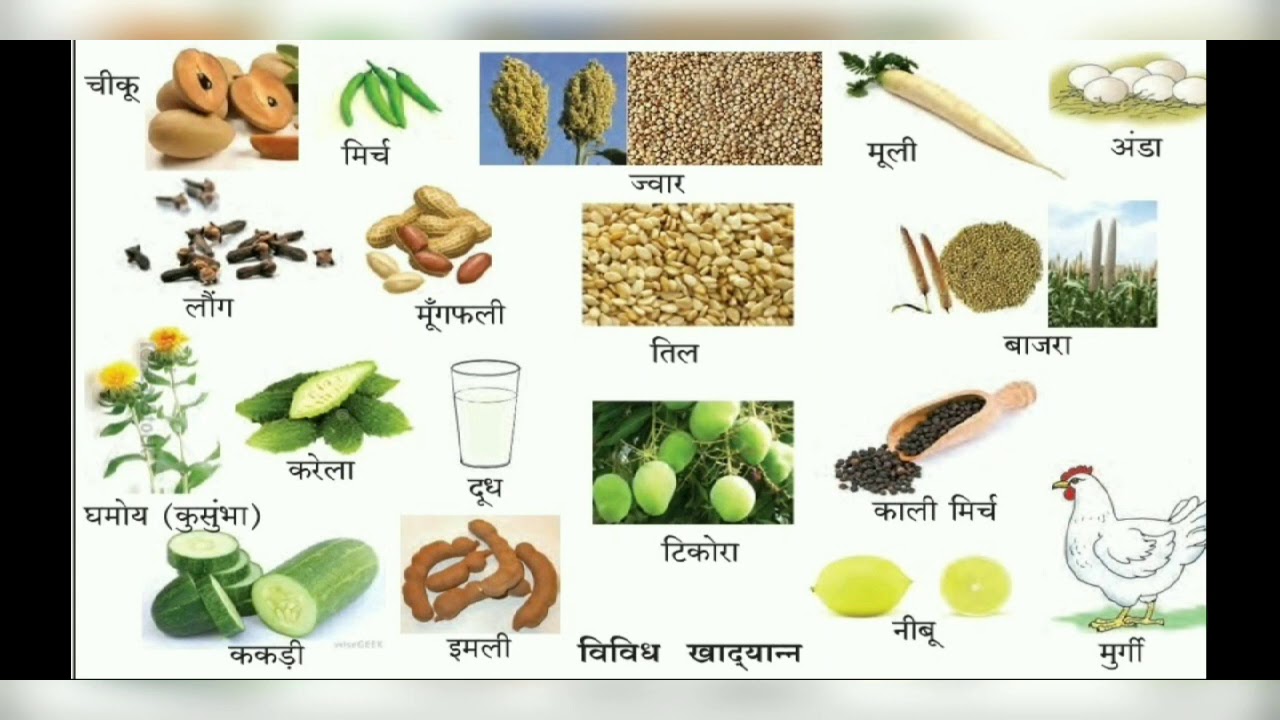 Aahar ki paushtikta || paath 7 || std 4 || subject - parisar adhyayn 1 ...