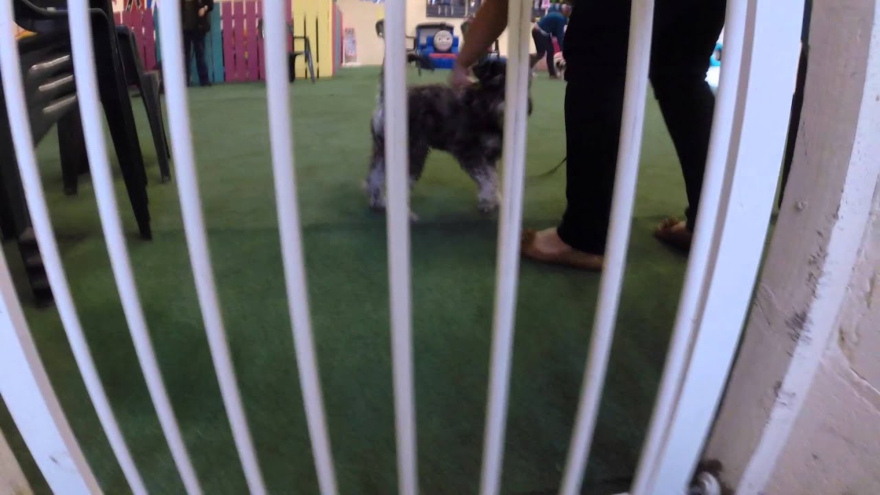 Mari training Pt2 - YouTube