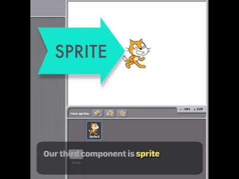 Introduction to Scratch : Components of Scratch Window - YouTube