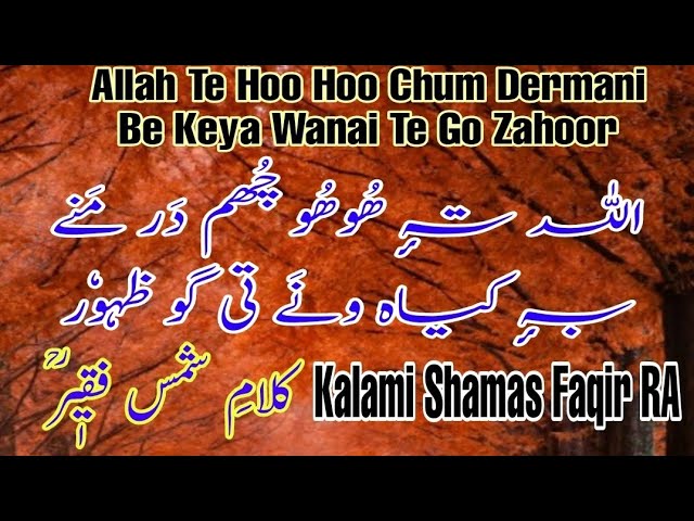 Shamas Faqir Quotes