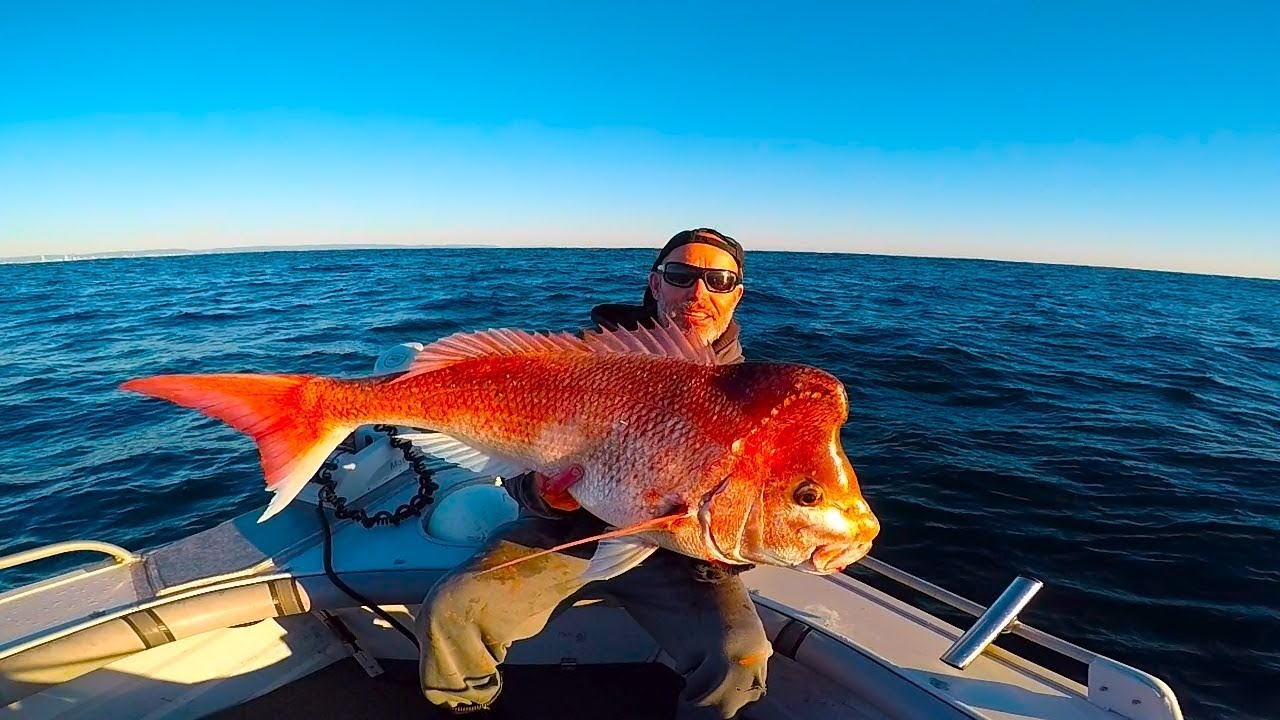 95cm gold coast snapper - YouTube