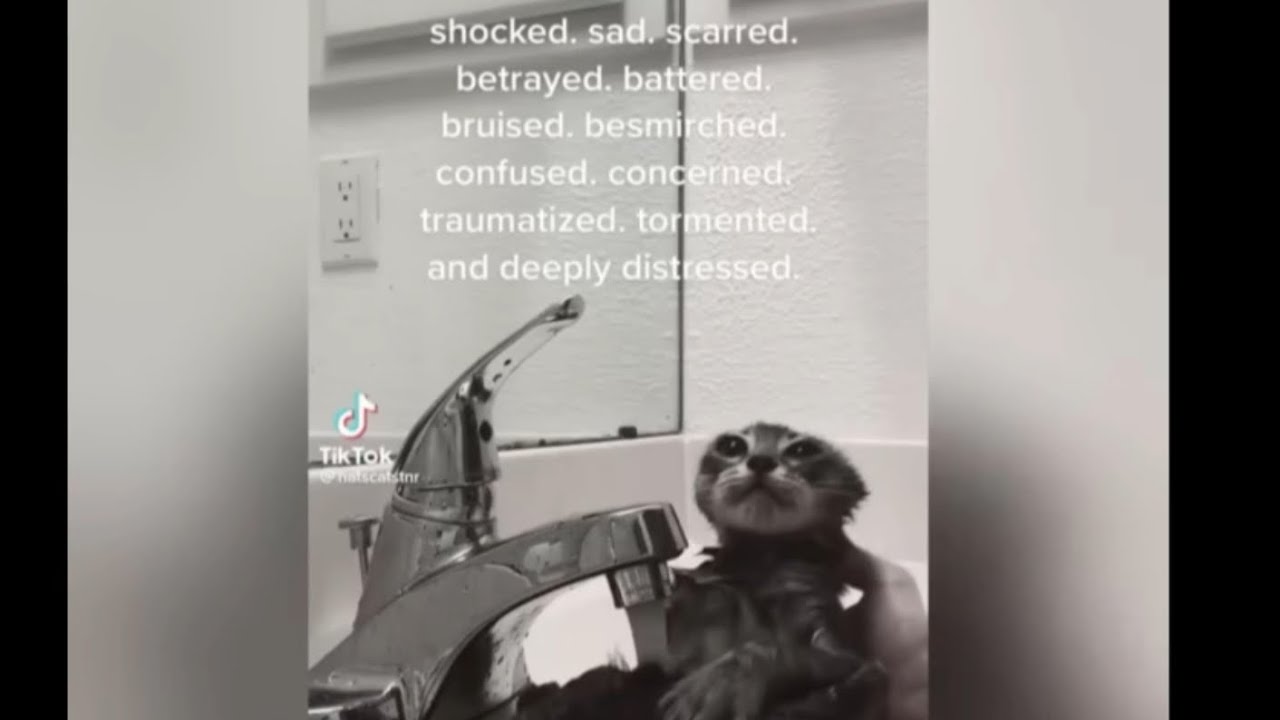 shocked. sad. scarred. betrayed. battered bruised. besmirched confused ...