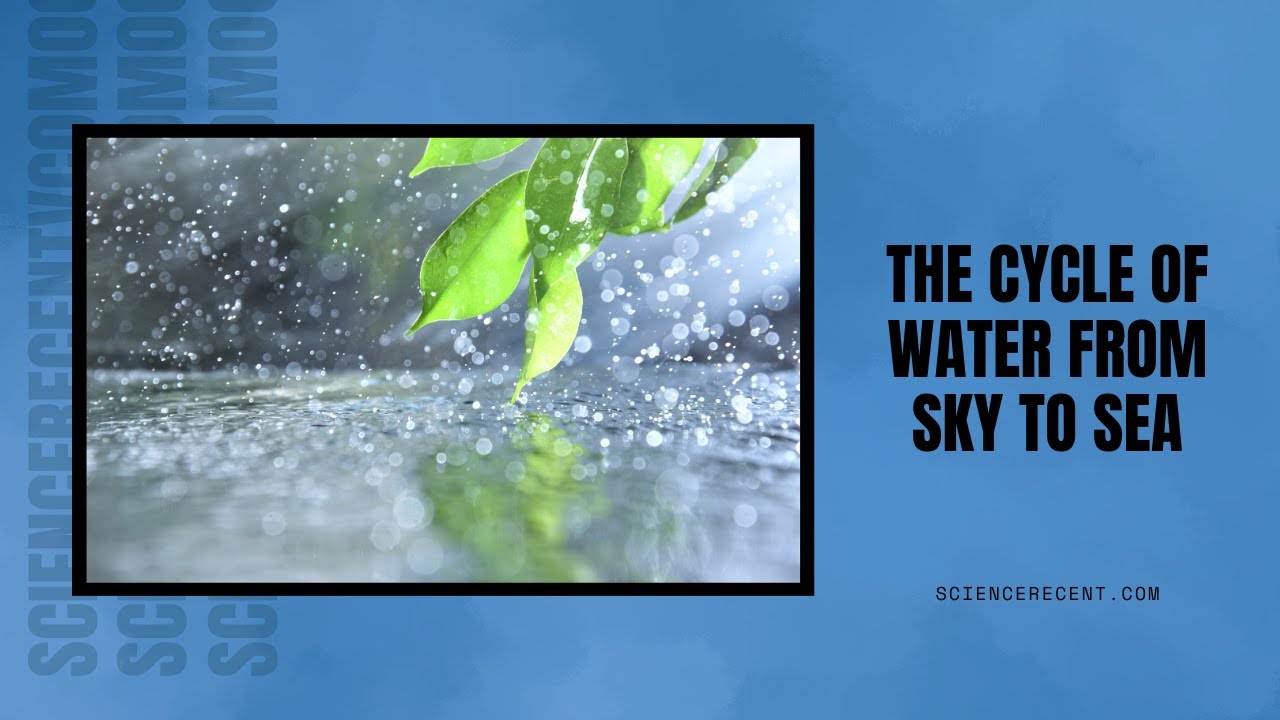 The Cycle of Water From Sky To Seas - YouTube