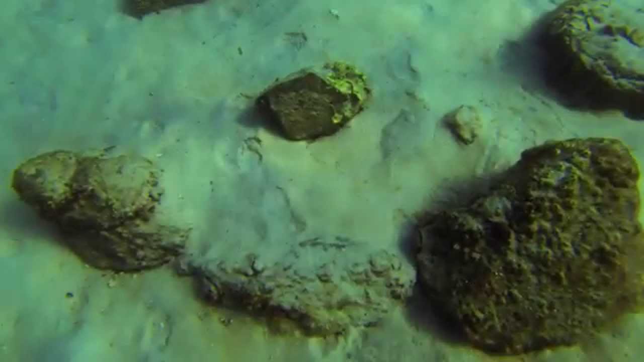FALL FLOUNDER DESTIN JETTY SNORKLE GOPRO HD - YouTube