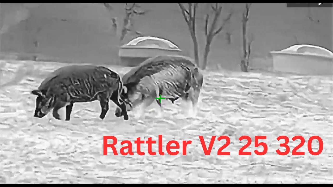 AGM Rattler V2 25-320 Review - YouTube