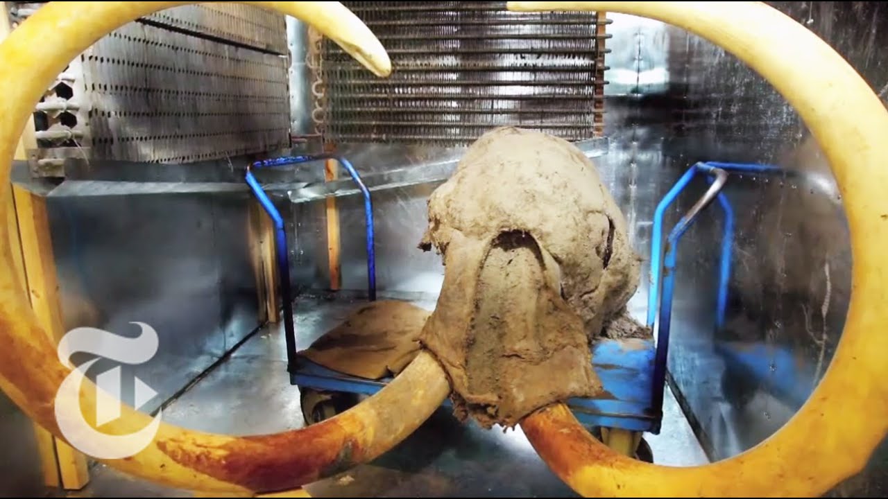 Bringing Back the Dead: Should We Resurrect Extinct Species? | The New ...