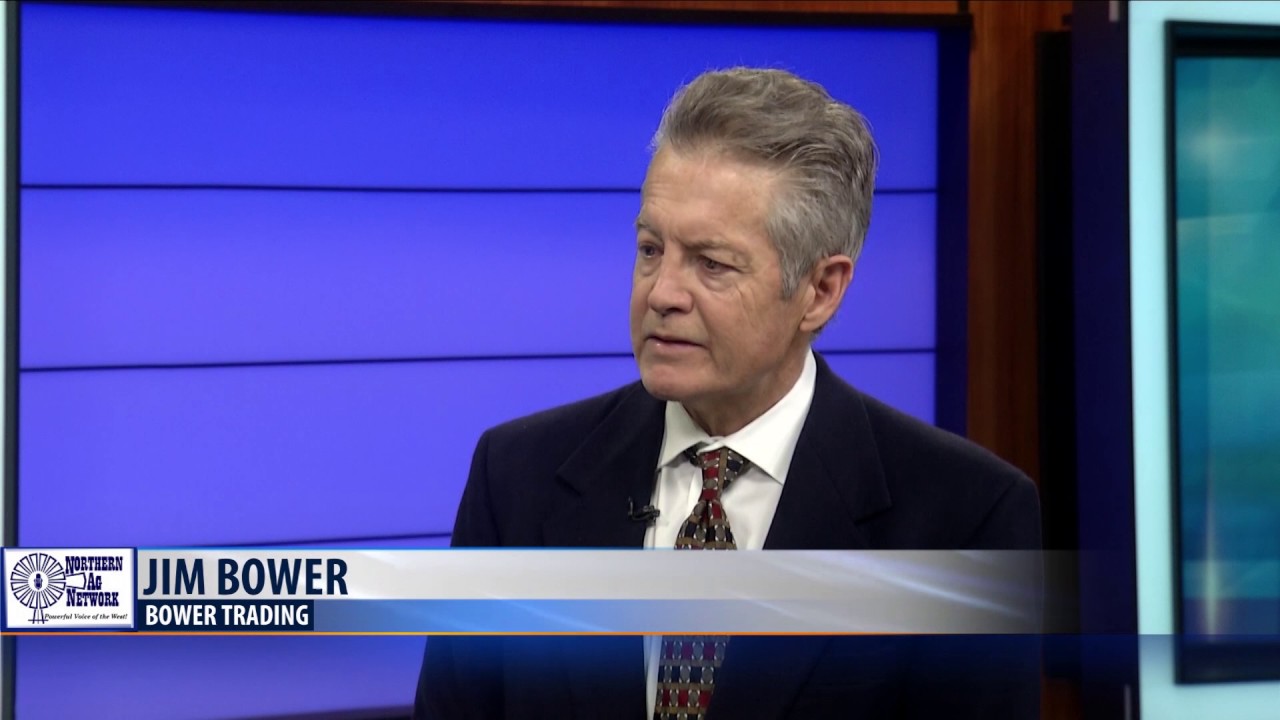 Jim Bower Talks Spring Cattle and Wheat Market Analysis - YouTube