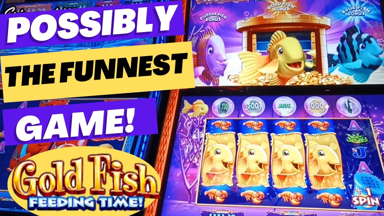 GOLD FISH FEEDING TIME! CASTLE: All 3 Fish! Extreme Bonus Mega Win ...