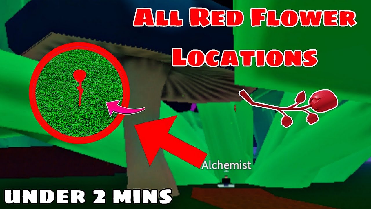 Where to find red flower in blox fruit | Race V2 | alchemist quest ...