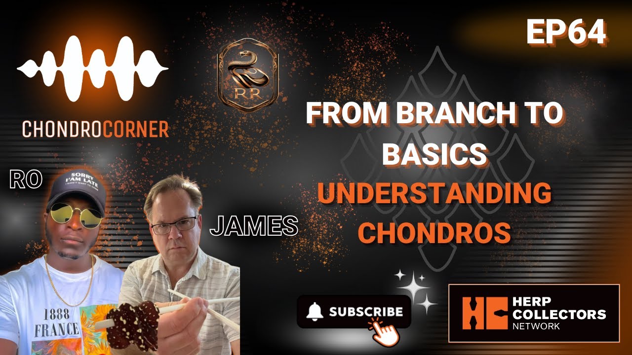 EP64 – From Branch To Basics: Understanding Chondros - YouTube