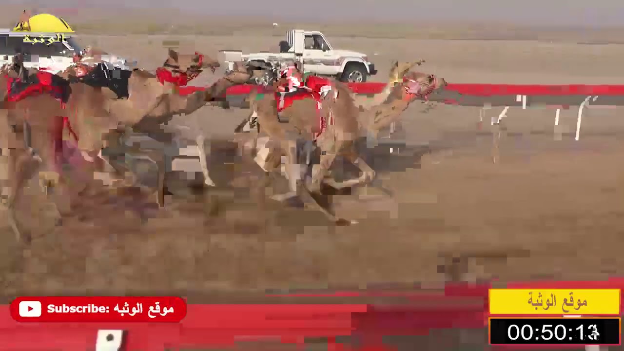 al wagan 11 - YouTube