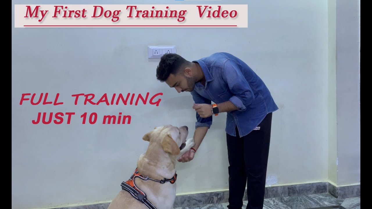 My First Dog Training Video in just 11 min - YouTube