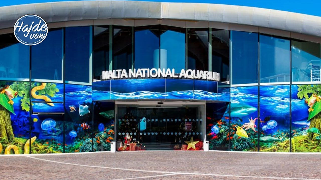 Národné Maltské akvárium - Malta National Aquarium 4K UHD - YouTube