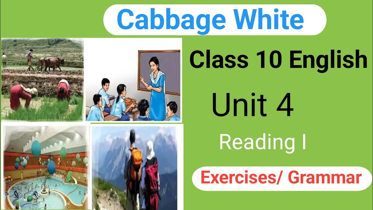 Class 10 English Unit 4 Reading I |Cabbage White| Exercise and Grammar ...