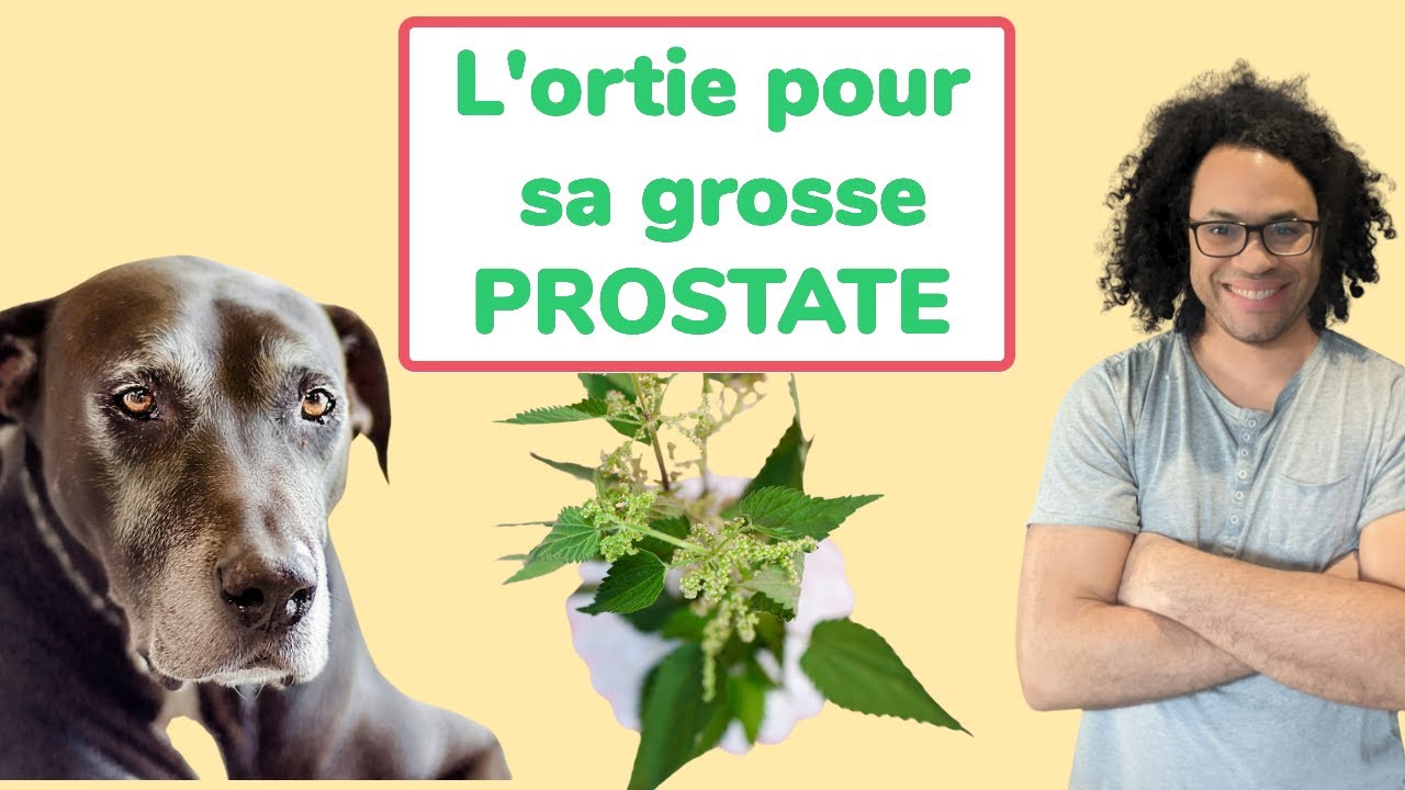 Traitement Naturel de l'Hyperplasie Bénigne de la Prostate chez le ...