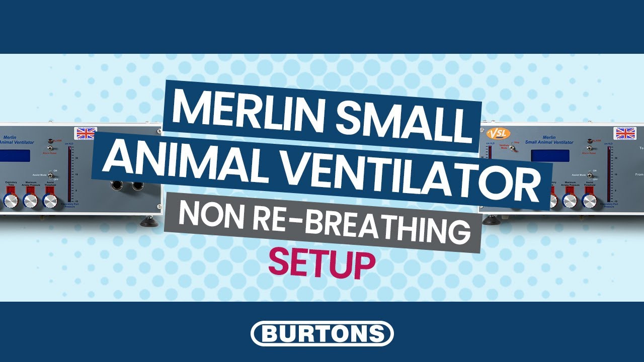 Merlin Small Animal Ventilator - Non Rebreathing Setup - YouTube