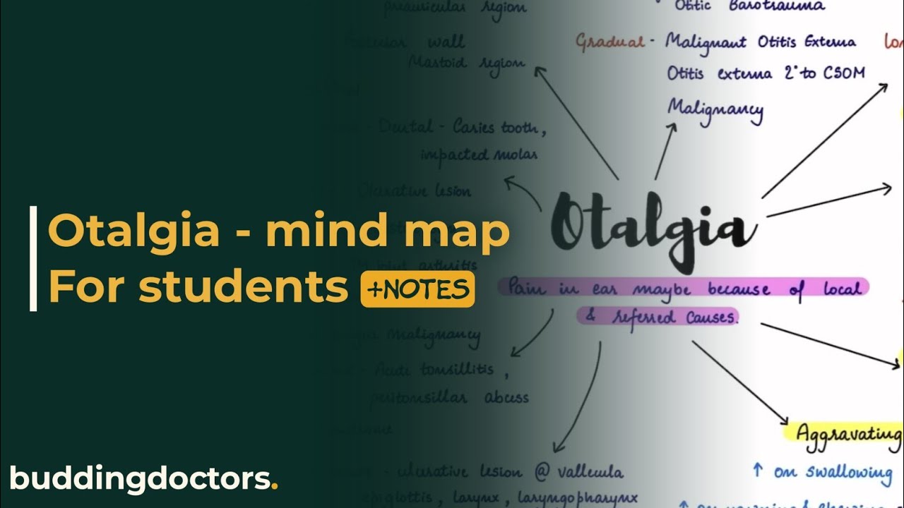 Otalgia - ear pain, lecture for students with mind map - YouTube