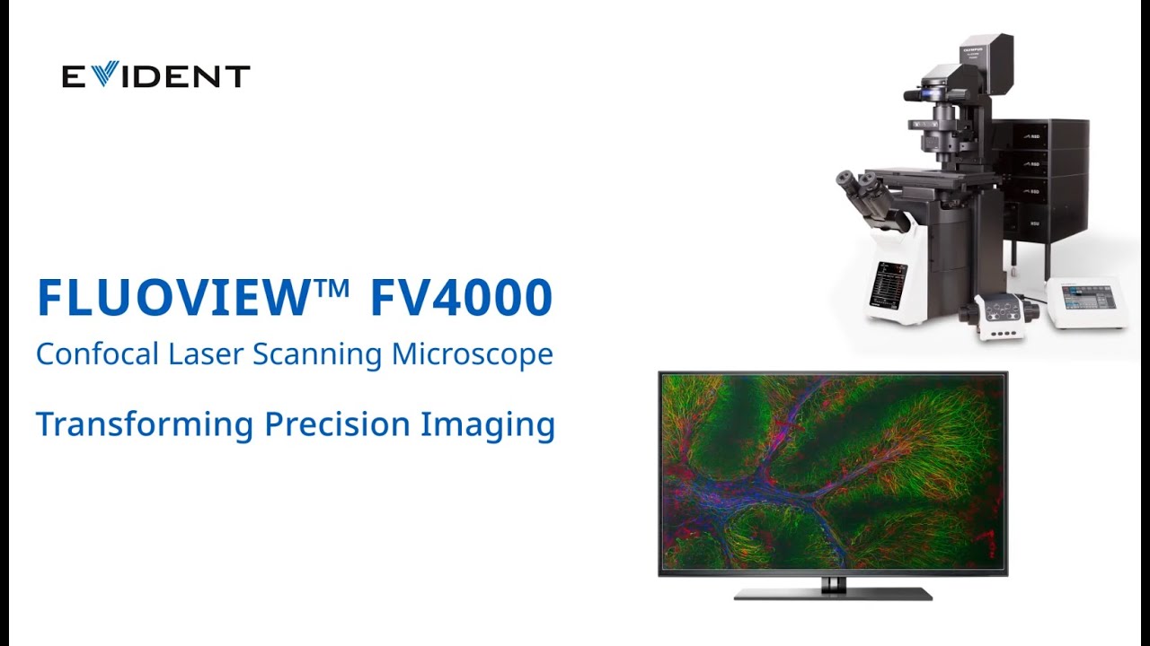 Transforming Precision Imaging with EVIDENT FLUOVIEW FV4000 Confocal ...
