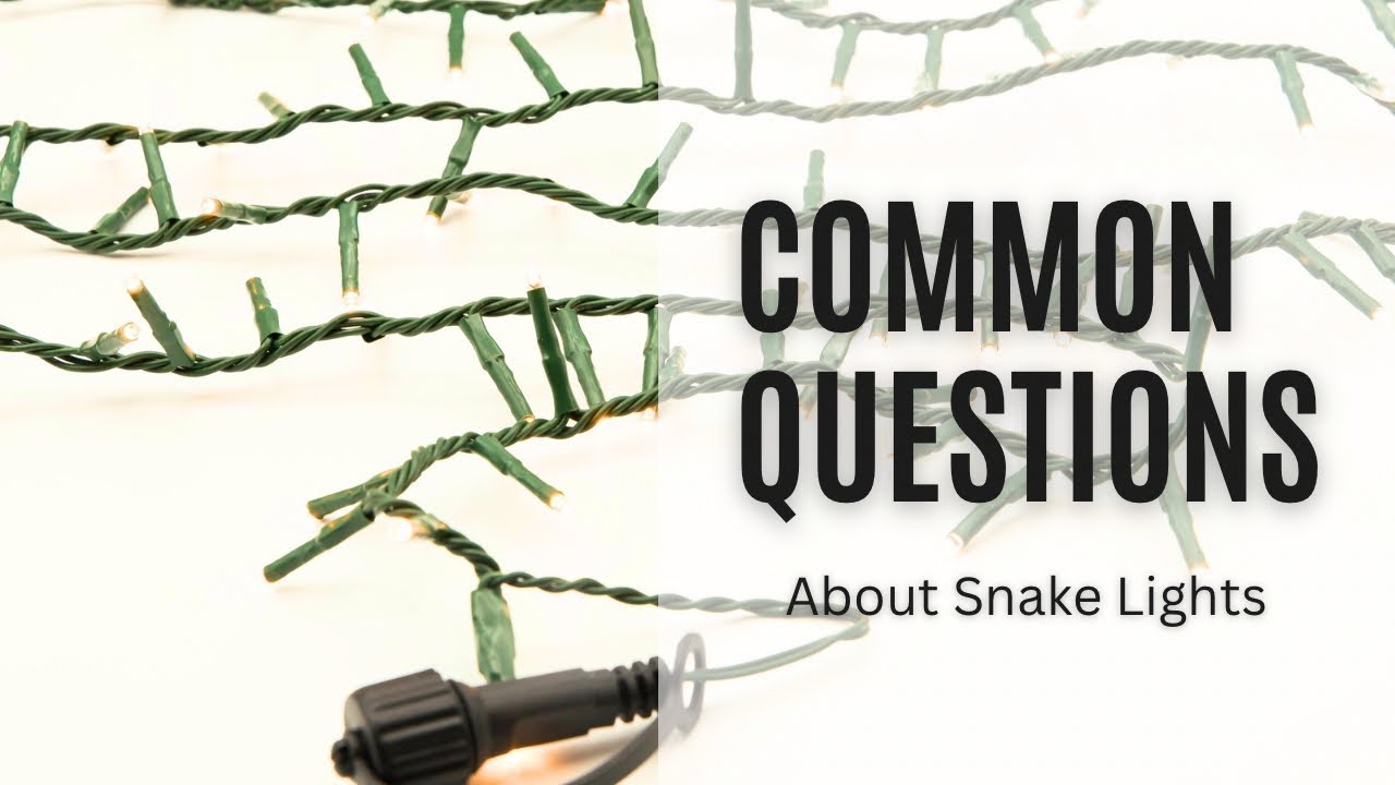 Answering Your Common Questions About Snake Lights While Taking 8,000 ...