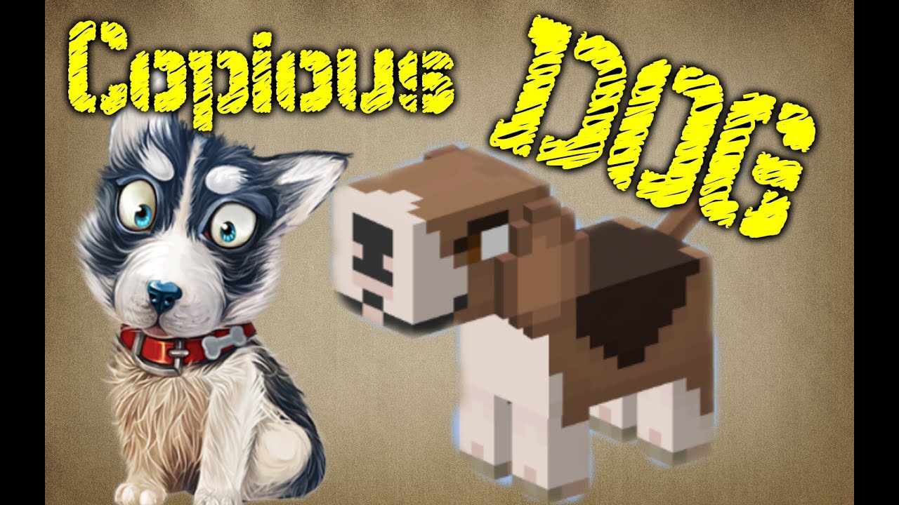 Predstavenie Módov Copious Dog Mod by Expl0ited [SK HD] - YouTube